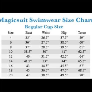 Magicsuit | Swim | Magicsuit 2 Goddess One Shoulder One Piece Gray ...